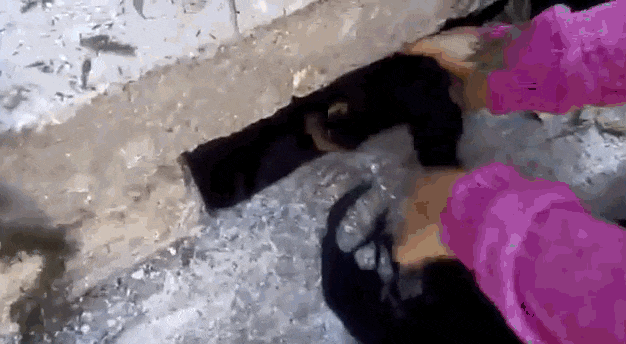 Trapped And Starving Kitten Refuses To Stop Crying For Help
