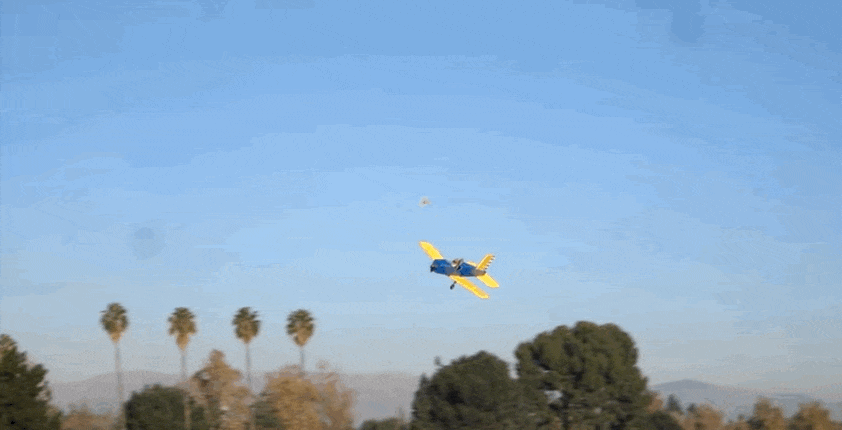 Man Claims Squirrel Stole His Model Plane, Has Video To Prove It