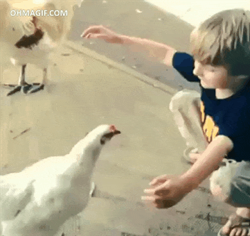 Here's Why Smart People Agree Animals Have Emotions