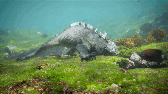 Amazing Footage Shows Giant 'Monster' Lizard Swimming Through Ocean