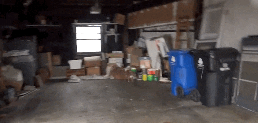 Homeless Pit Bull Couldn't Stop Shaking — Until Someone Finally Pet Her Homeless Pit Bull Couldn't Stop Shaking — Until Someone Finally Pet Her